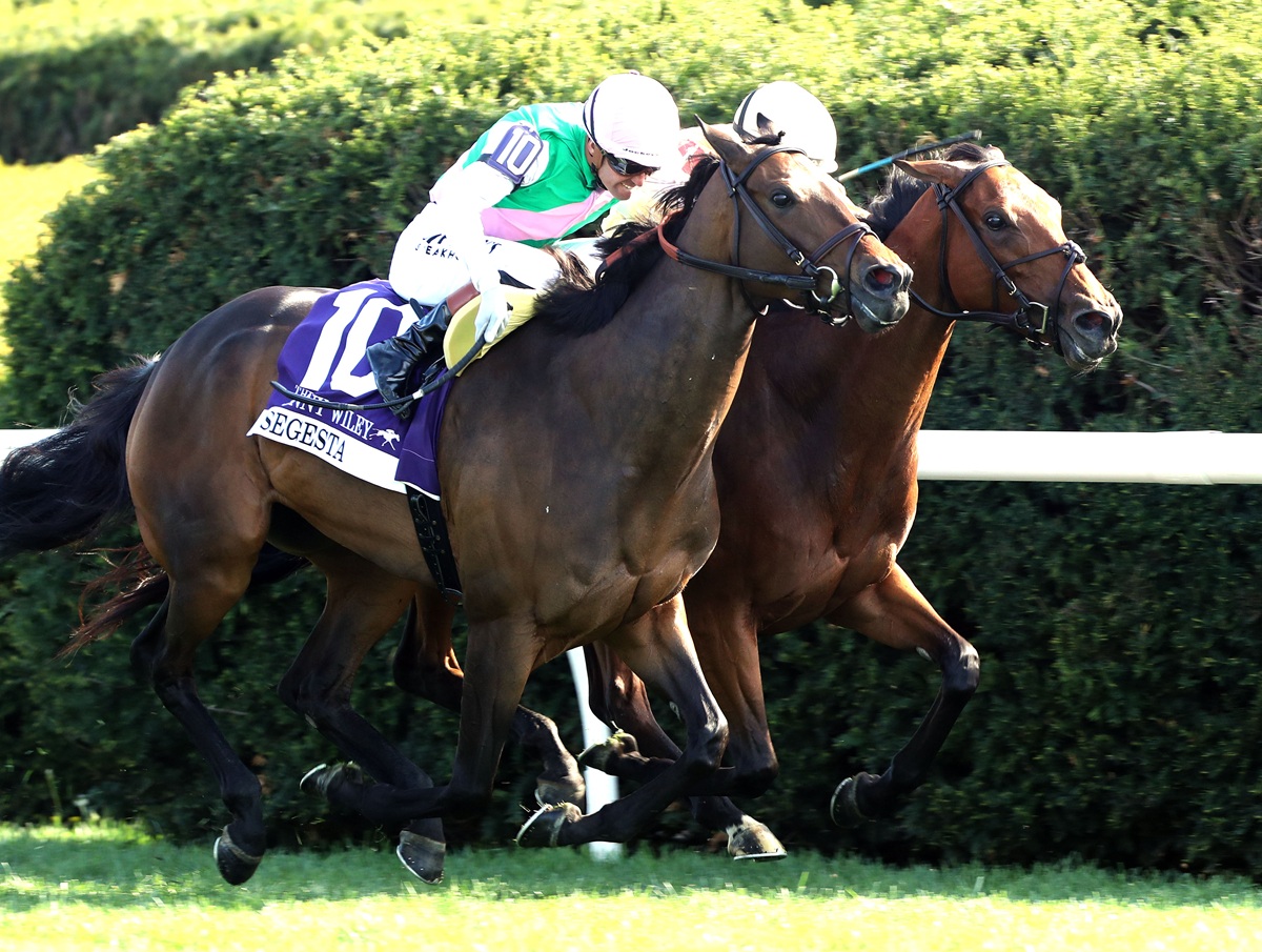 Segesta y Expensive Queen protagonizaron sensacional empate en el Jenny ...