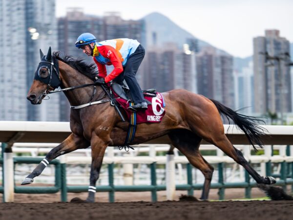 Ka Ying Rising con el millonario Everest como objetivo principal | DRF ...