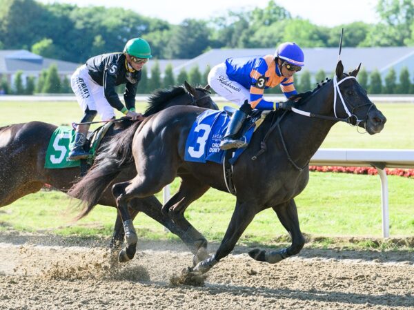 Chip Honcho y el "Mago" en atropellada conquistan el Ohio Derby | DRF ...