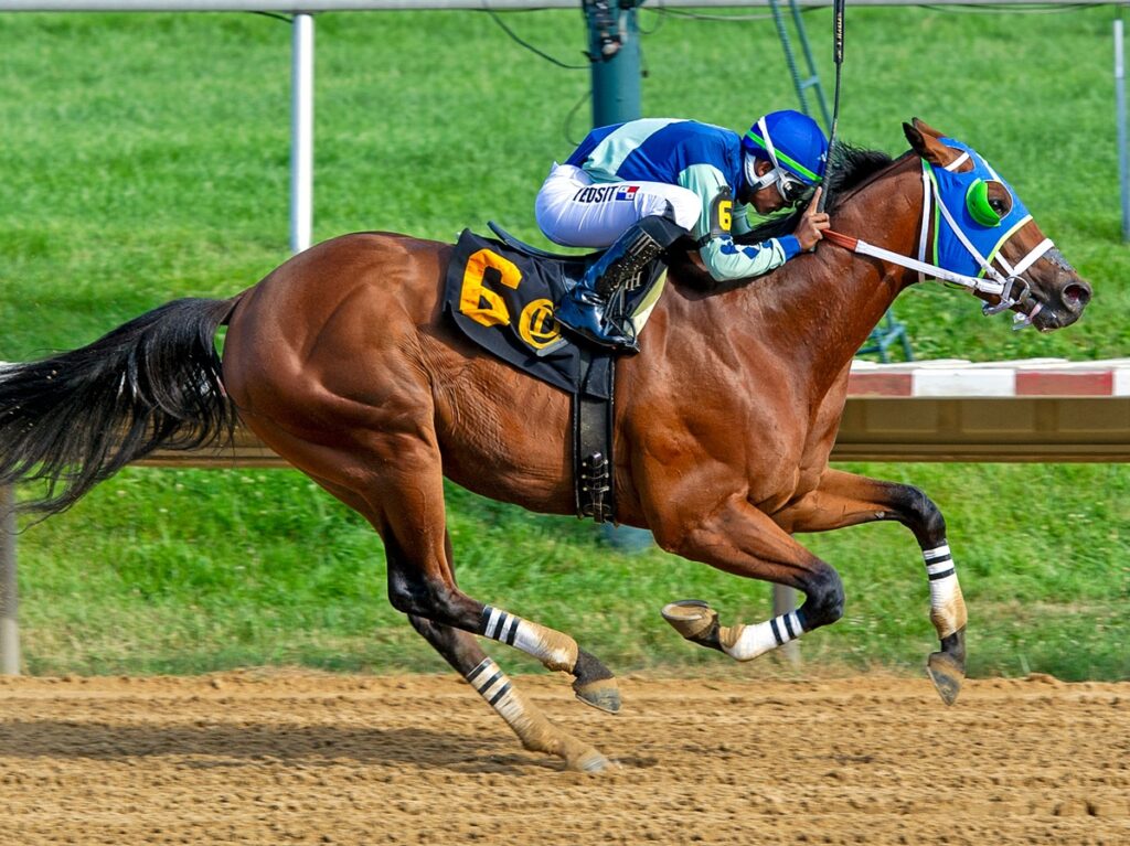 Big Cuddle con Hazlewood conquistaron el Delaware Derby | DRF en Español