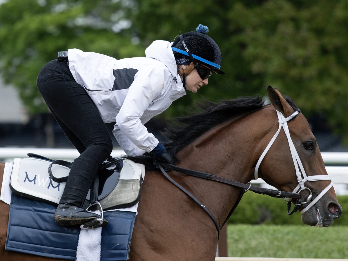 Journalism regresa a la milla en un calibrado Metropolitan Handicap ...