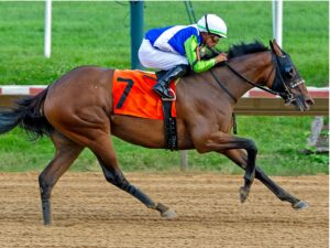 Luv Your Neighbor contundente en la Delaware Oaks G3 | DRF en Español