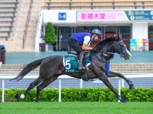 Masquerade Ball, la esperanza principal de Japón en Royal Ascot | DRF ...